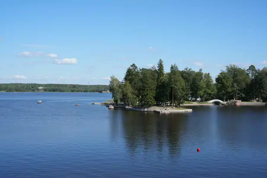 Location de jet privé et hélicoptère à Platov - AEROAFFAIRES